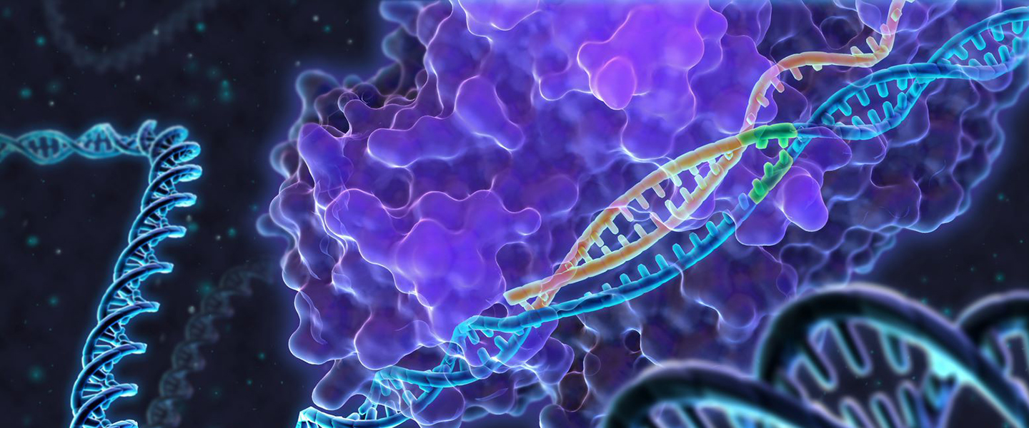 About the Prize: The Kimberly Prize in Biochemistry and Molecular ...