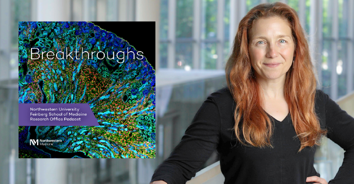 Understanding the Immune System with Stephanie Eisenbarth, MD, PhD ...