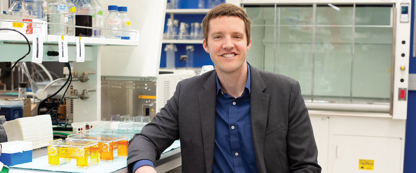 Home: Department of Biochemistry and Molecular Genetics: Feinberg ...