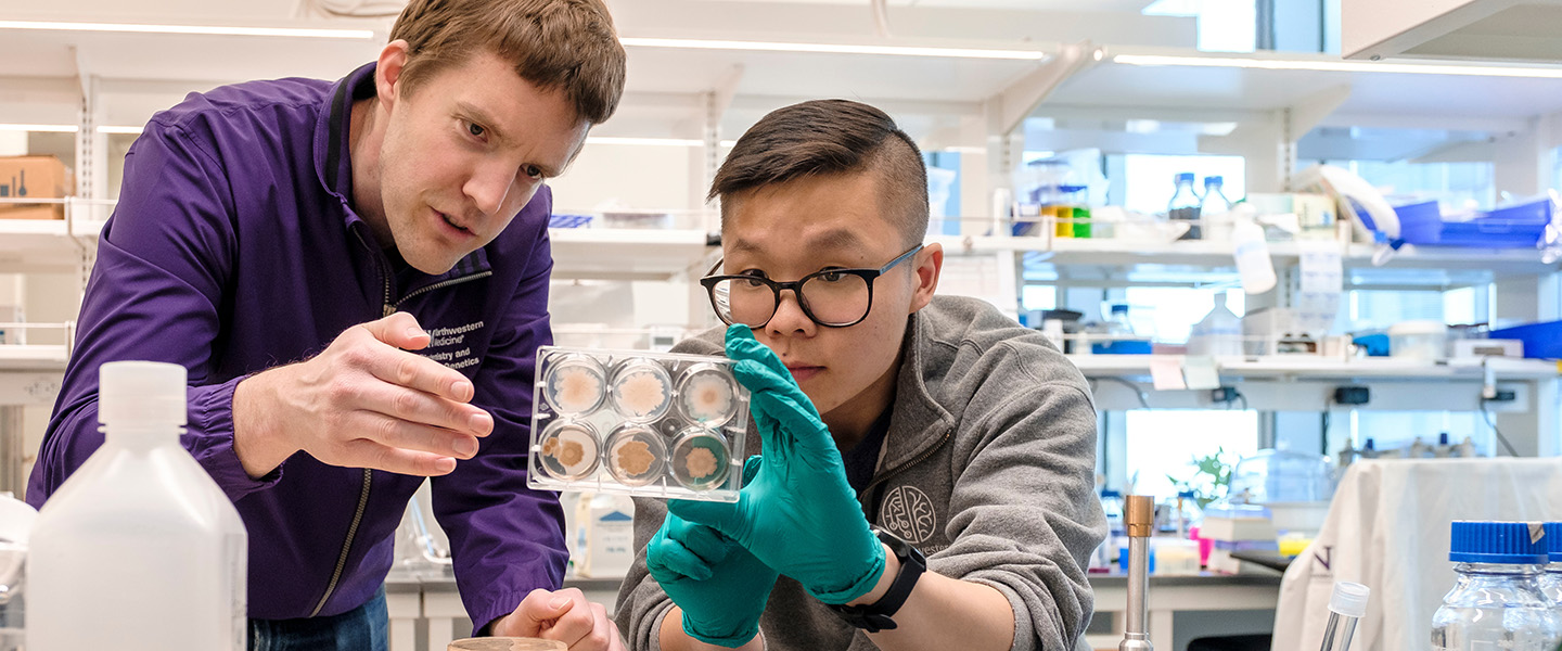 Research: Department of Biochemistry and Molecular Genetics: Feinberg ...