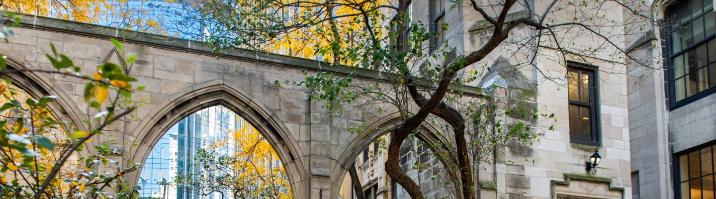 Research Fellowships: Department of Dermatology: Feinberg School of ...