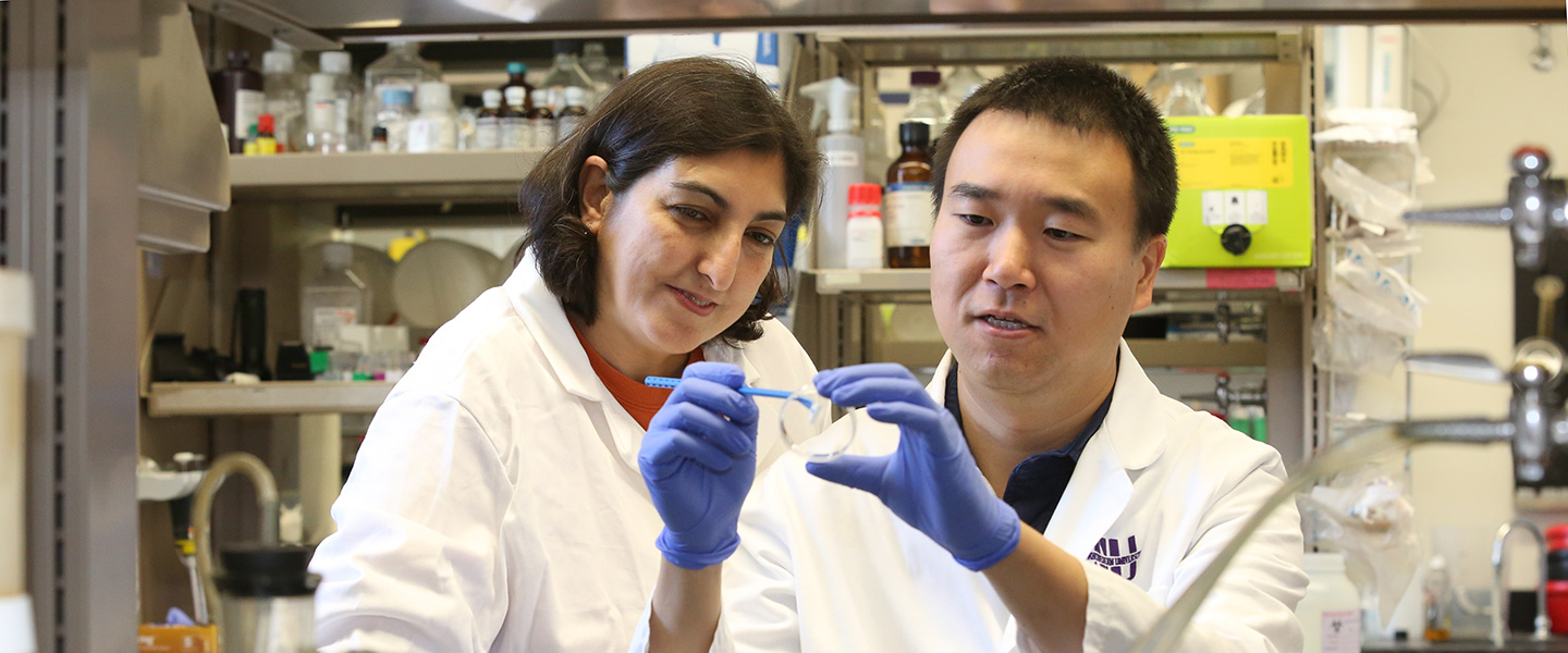 Research: Department of Dermatology: Feinberg School of Medicine