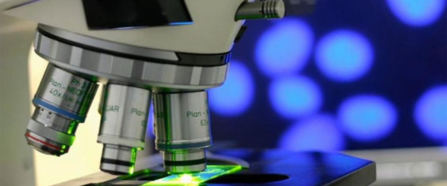 Resources: Mouse Histology & Phenotyping Laboratory: Feinberg School of ...