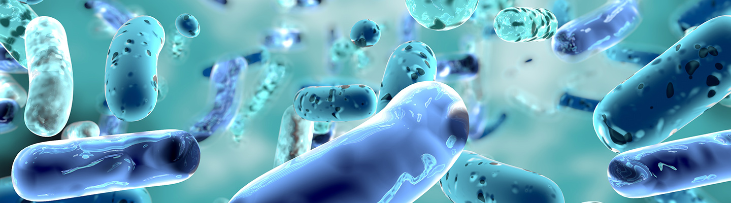 Overview: Department of Microbiology-Immunology: Feinberg School of ...