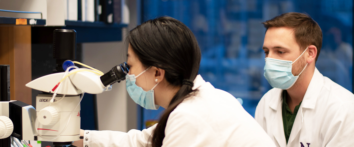 Home: Master of Science in Reproductive Science & Medicine: Feinberg ...