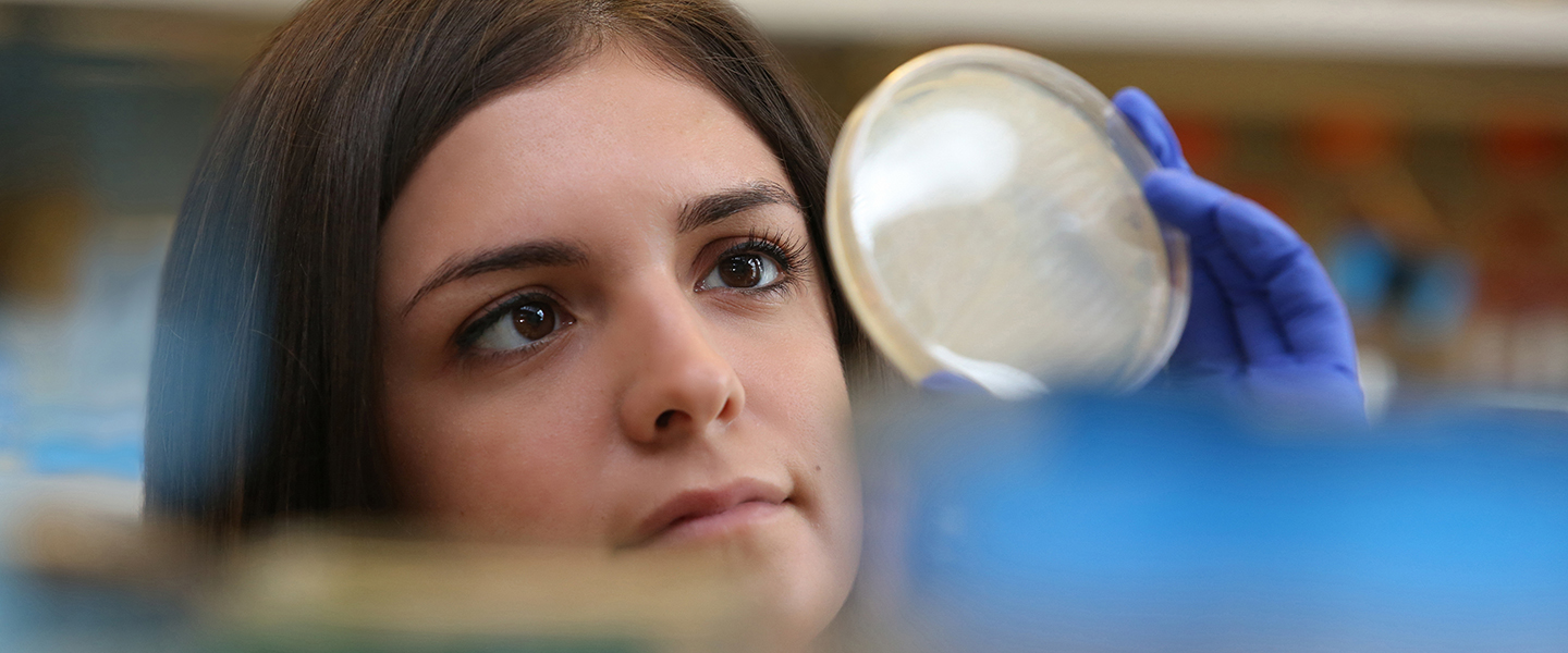 Curriculum: Medical Scientist Training Program: Feinberg School of ...