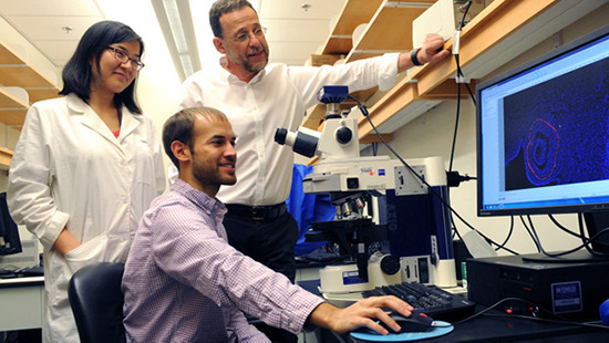 nephroHUB-U: nephroHUB: Feinberg School of Medicine