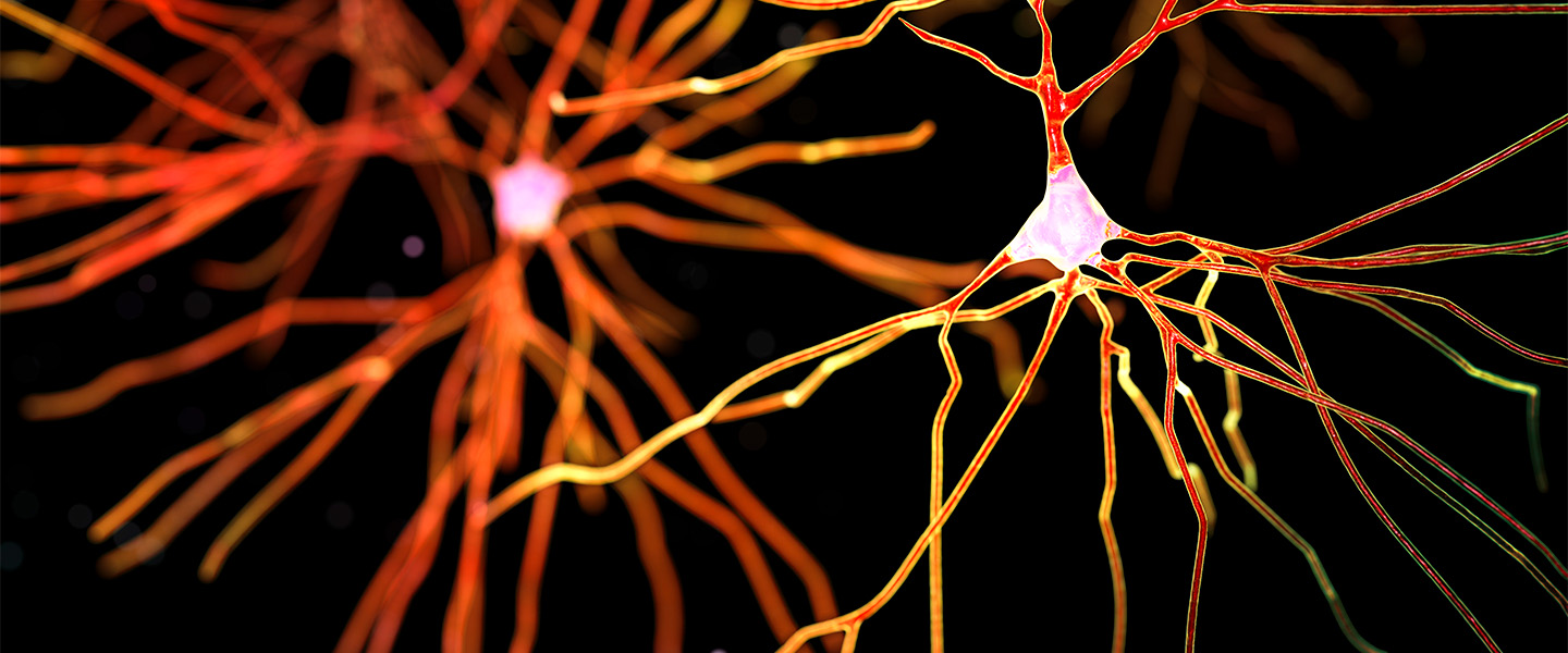 Center Home: Simpson Querrey Center for Neurogenetics: Feinberg School ...