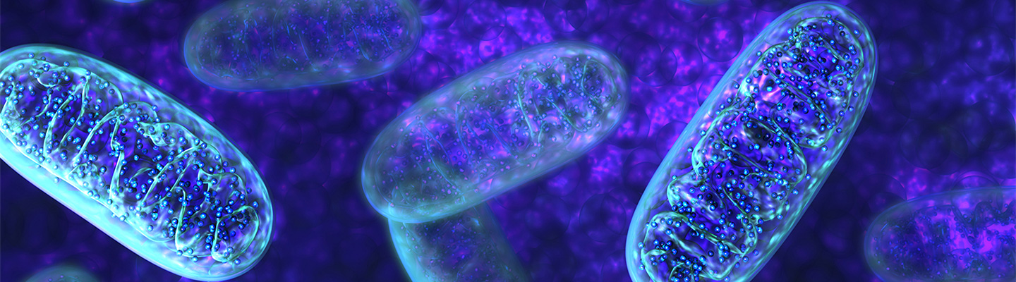 Home: Department of Neuroscience: Feinberg School of Medicine