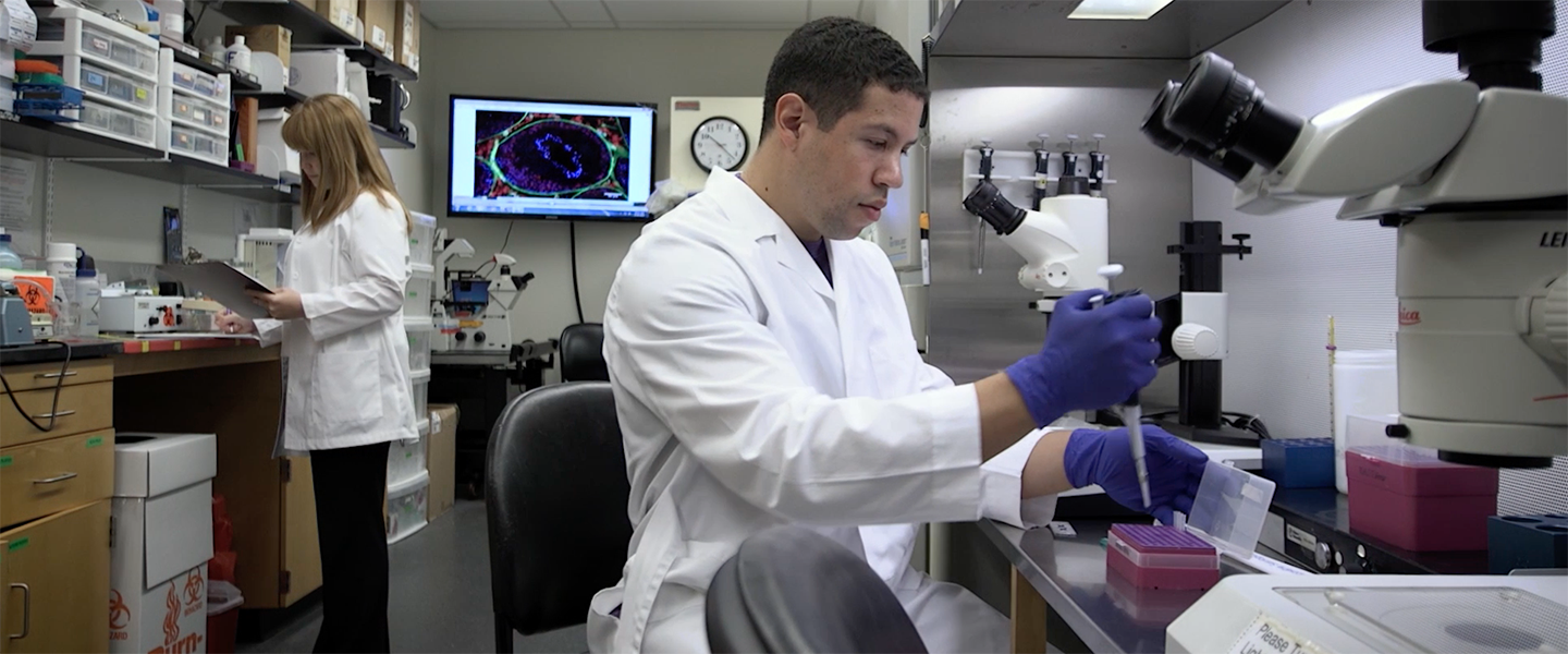 Research: Department of Obstetrics & Gynecology : Feinberg School of ...