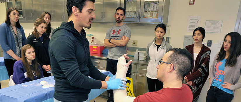 Curriculum Physician Assistant Program Feinberg School Of Medicine curriculum-physician-assistant-program-feinberg-school-of-medicine