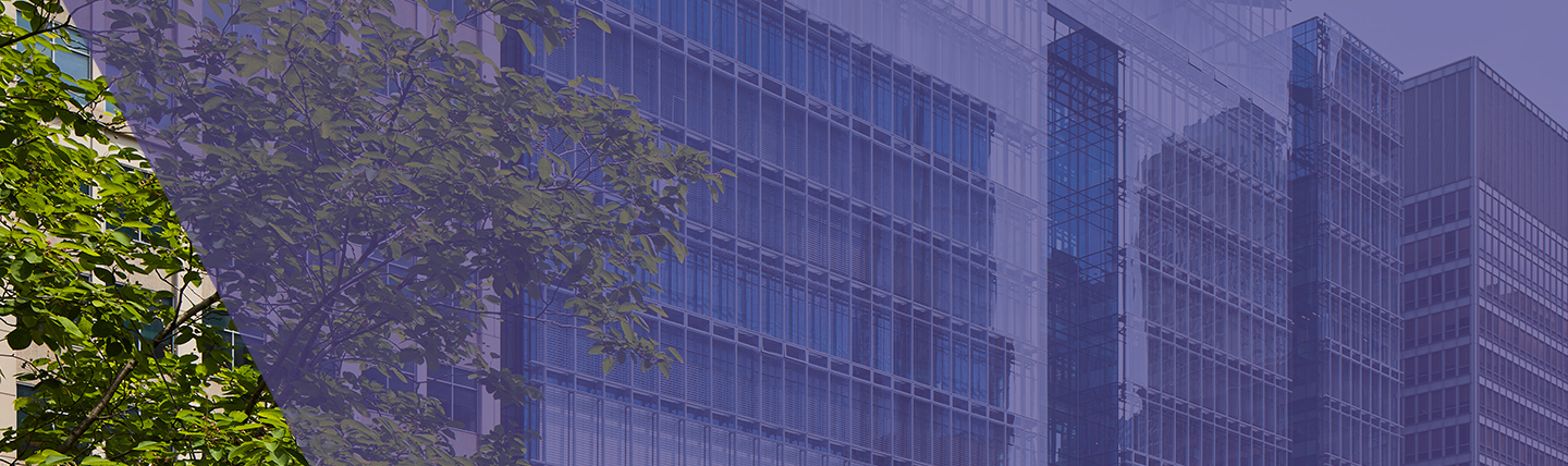 Archive: Louis A. Simpson and Kimberly K. Querrey Biomedical Research ...